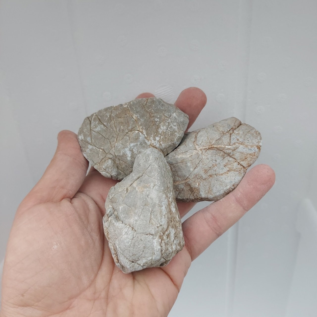AkvaRed - Old Stone Dekor Kaya - XS Boy